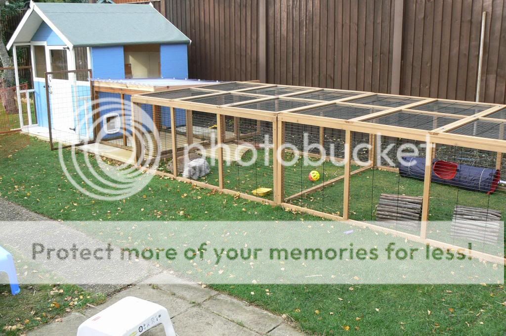 Pictures of rabbit hutches/runs/sheds/setups wanted :) | Rabbits United